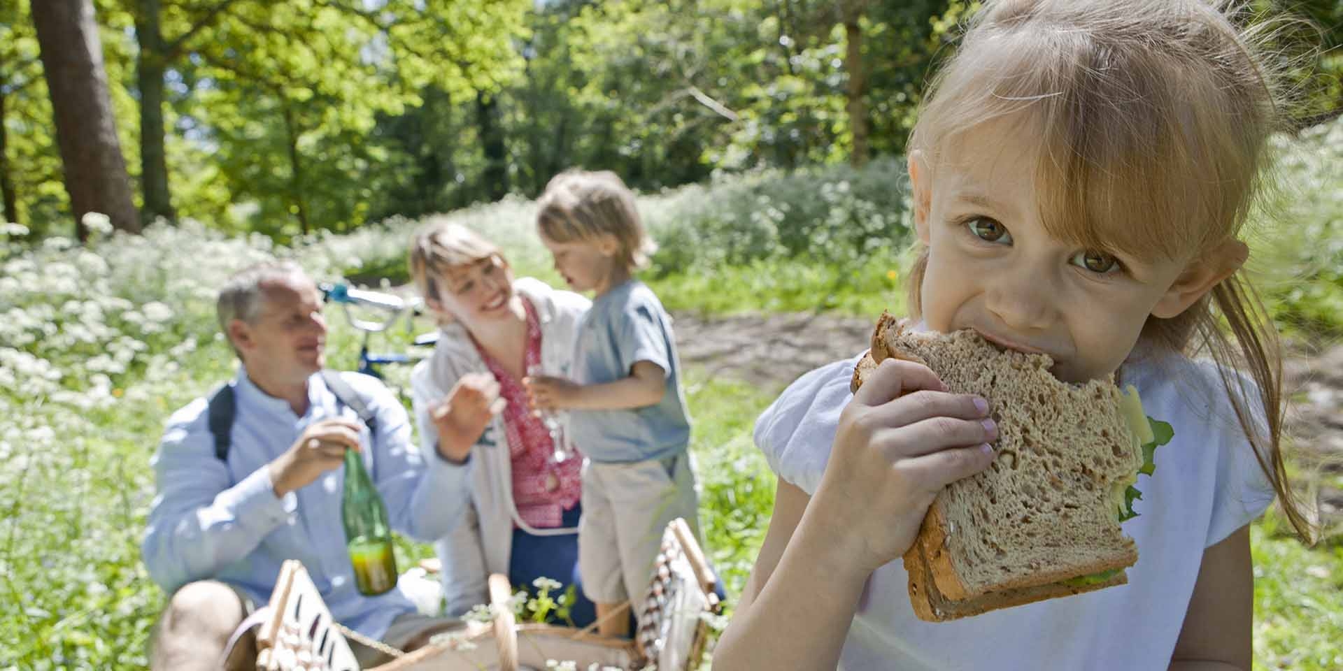 Panini per i picnic d’estate: gustosi ma anche sani