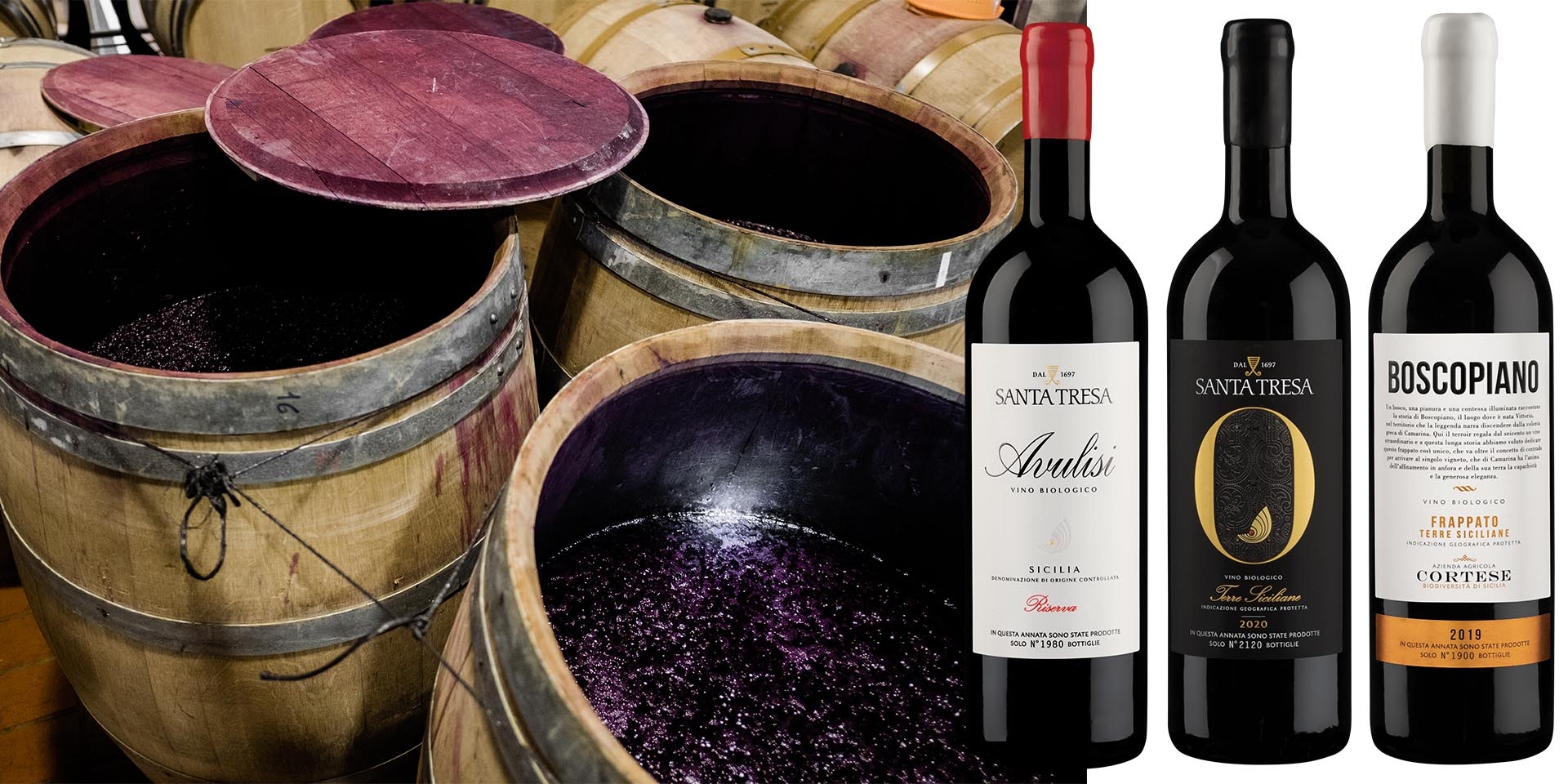 Vini di Sicilia: nasce O dal vitigno “reliquia” Orisi che si pensava ...