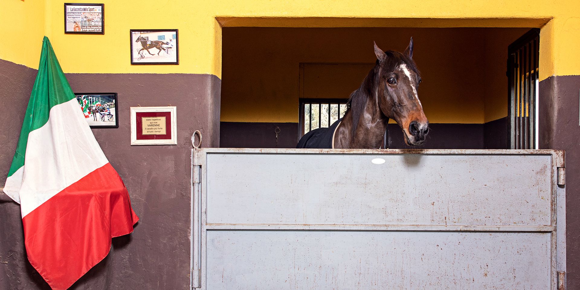 Varenne, la nuova vita del cavallo delle meraviglie. Foto e video